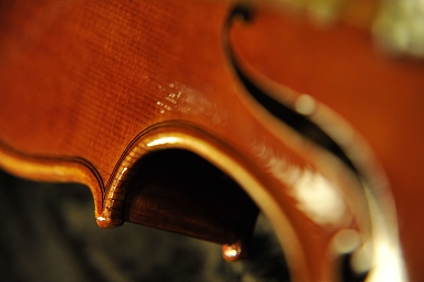 Gio Batta Morassi Violin Cremona 2009 ｜ ジョバッタ モラッシー バイオリン イタリア