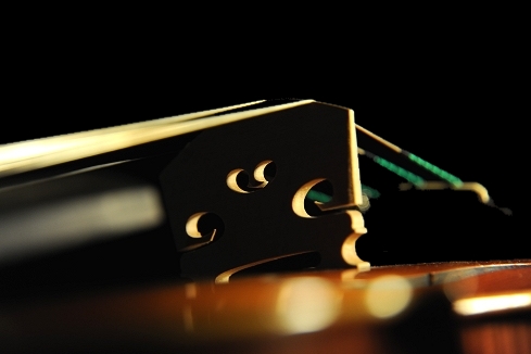 Di Biagio 工房 Viola｜新作ビオラ ディビアッジョ工房 イタリア