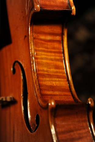 Giuseppe Rocca 1851 ｜ロッカ ジュゼッペ OLD VIOLIN TRINO ITALY Machold Certification