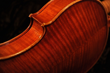 Negroni Massimo 1981 Violin Cremona ｜ ネグローニ バイオリン