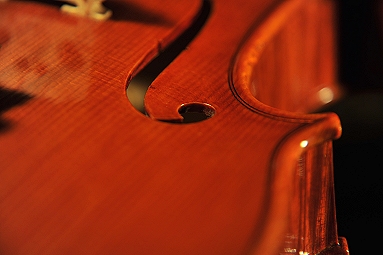 Simeone Morassi Violin Cremona 2005 ｜ シメオネ モラッシー バイオリン イタリア