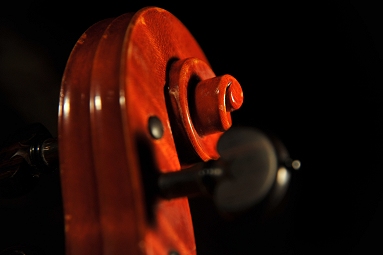 Simeone Morassi Violin Cremona 2005 ｜ シメオネ モラッシー バイオリン イタリア