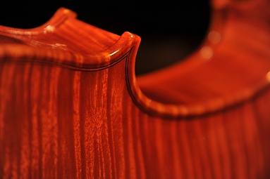 Simeone Morassi Violin Cremona 2005 ｜ シメオネ モラッシー バイオリン イタリア