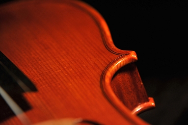 Simeone Morassi Violin Cremona 2005 ｜ シメオネ モラッシー バイオリン イタリア